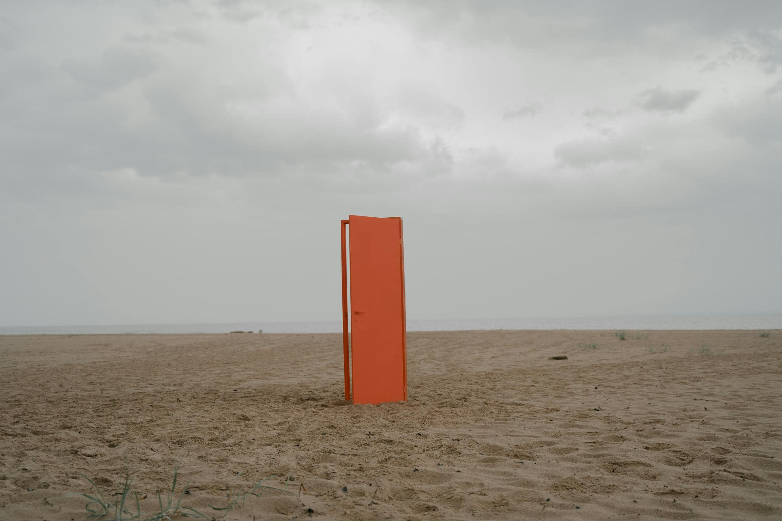 The Randomness of Life – WEBSAM.NZ